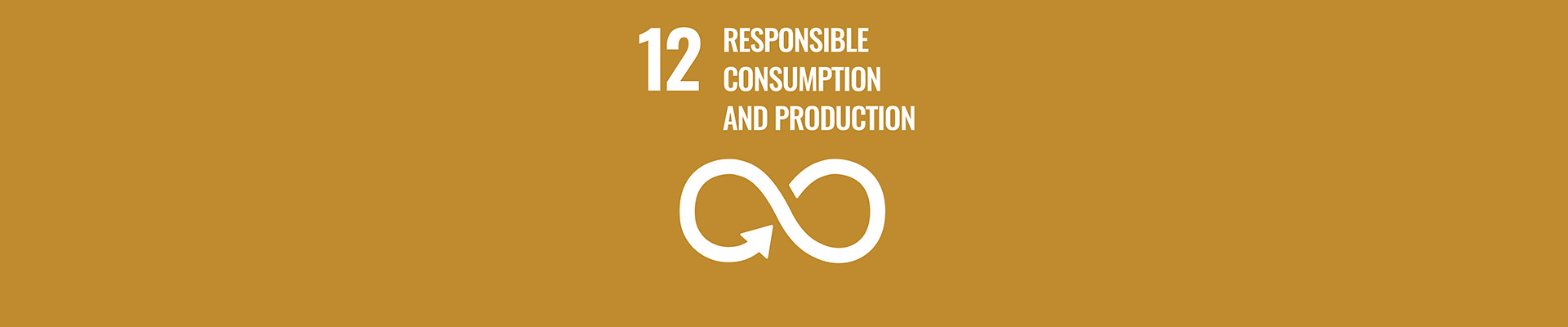 SDG 12: Responsible consumption and production - SUAD Pledge for ...