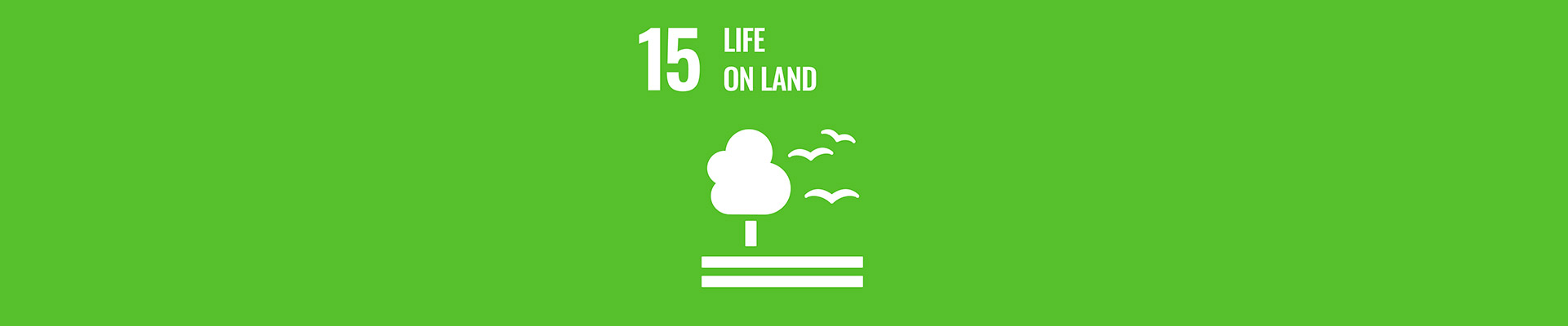 SDG 15: Life on land - SUAD Pledge for Sustainability